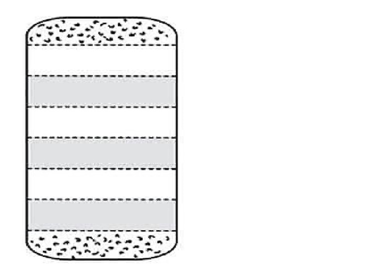 Sandwich Template | PDF