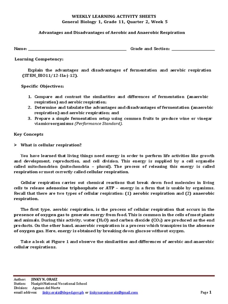 GB1 Q2 Week-5 | PDF | Cellular Respiration | Fermentation