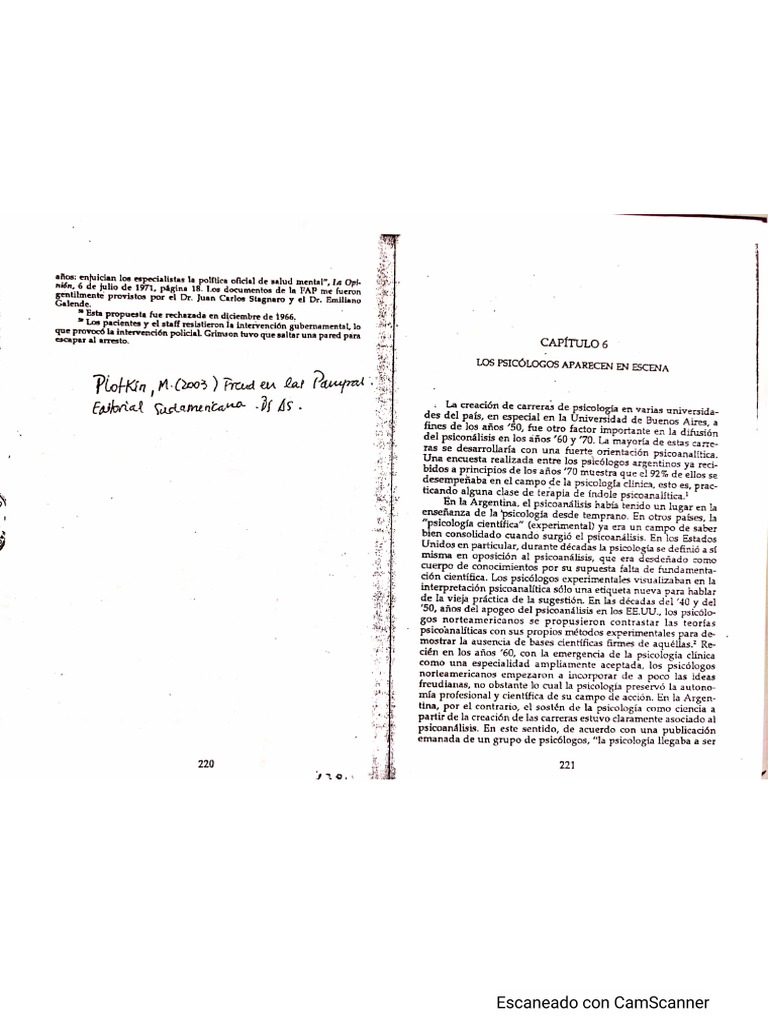 Unidad 5. Plotkin, Cap 6 y 7 | PDF