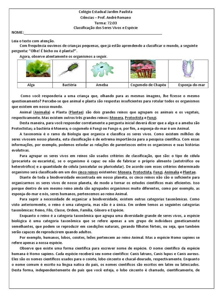 Classificação Dos Seres Vivos 7 Ano | PDF | Espécies | Plantas