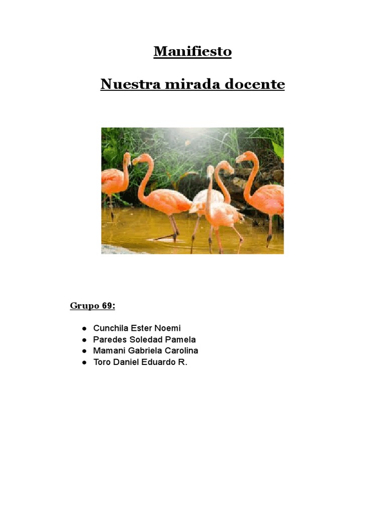 Informe Promace | PDF