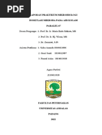 Laporan Praktikum Pembuatan Media, Isolasi Bakteri, Dan Identifikasi ...