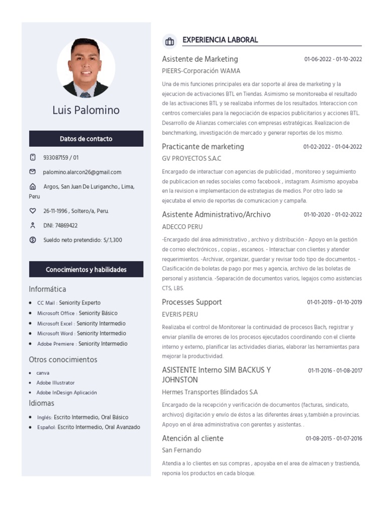 CV Palomino 2022 | PDF | Marketing | Microsoft