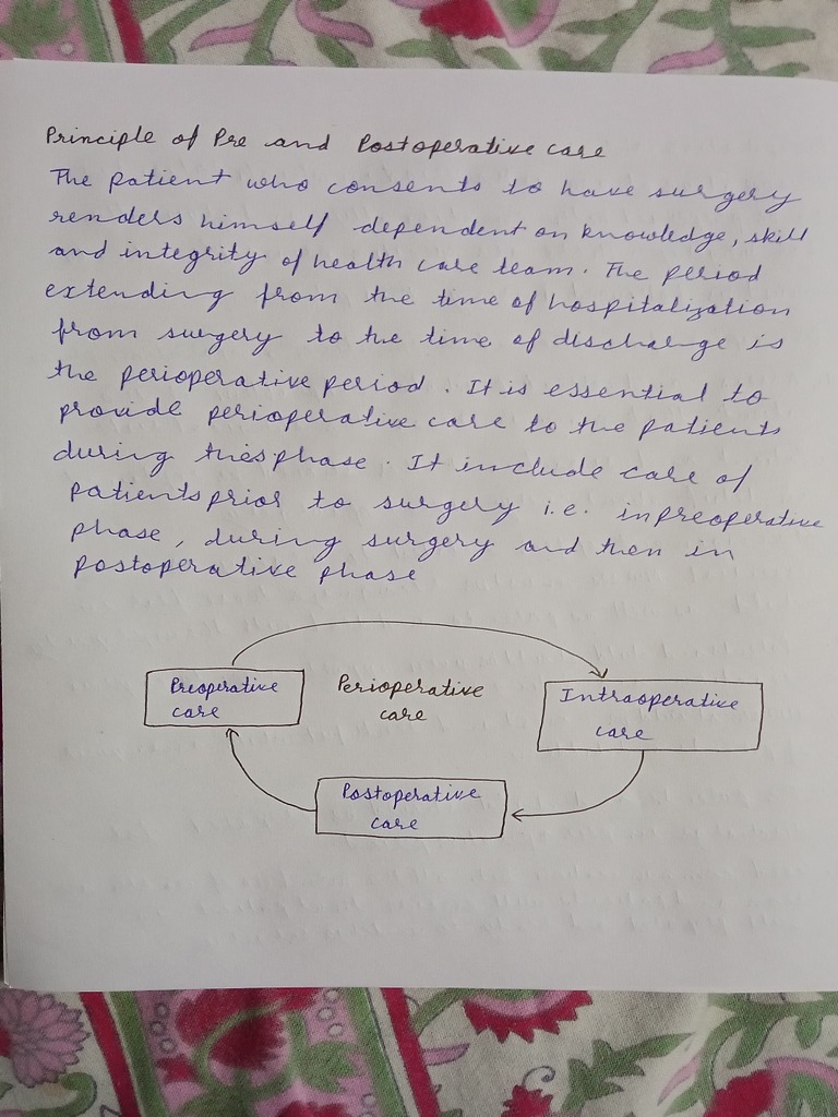Pediatric Assignment | PDF