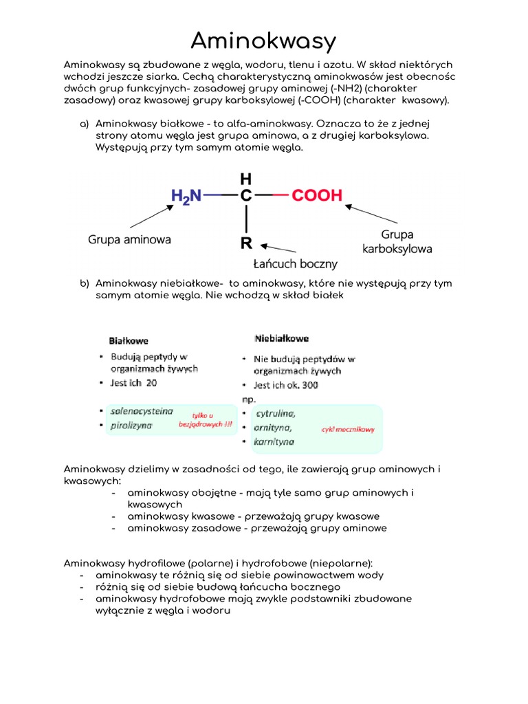 Aminokwasy - Notatka | PDF