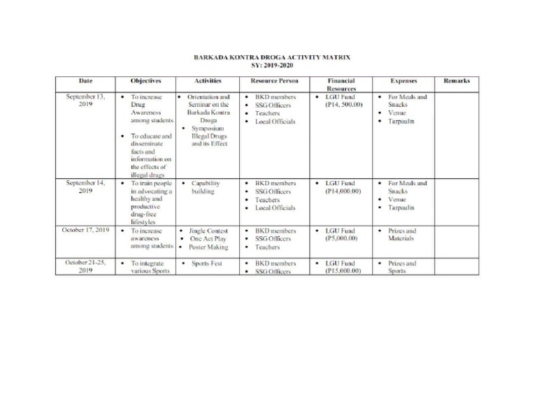 Activity Matrix Sample | PDF