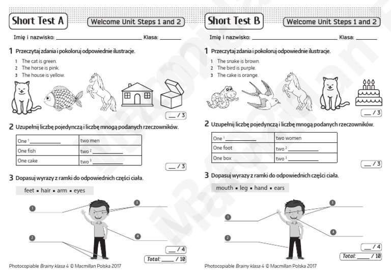Brainy Kl4 Short Tests Welcome Steps 1-2 | PDF