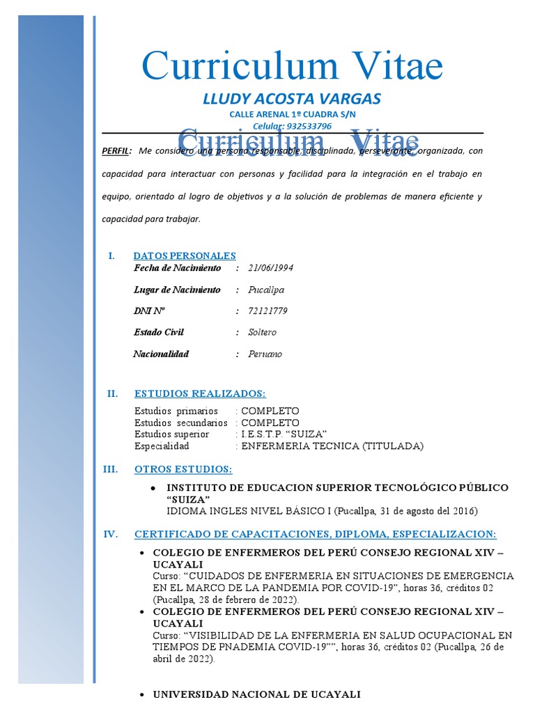 Curriculum Vitae de Lludy Acosta Vargas | PDF | Arte