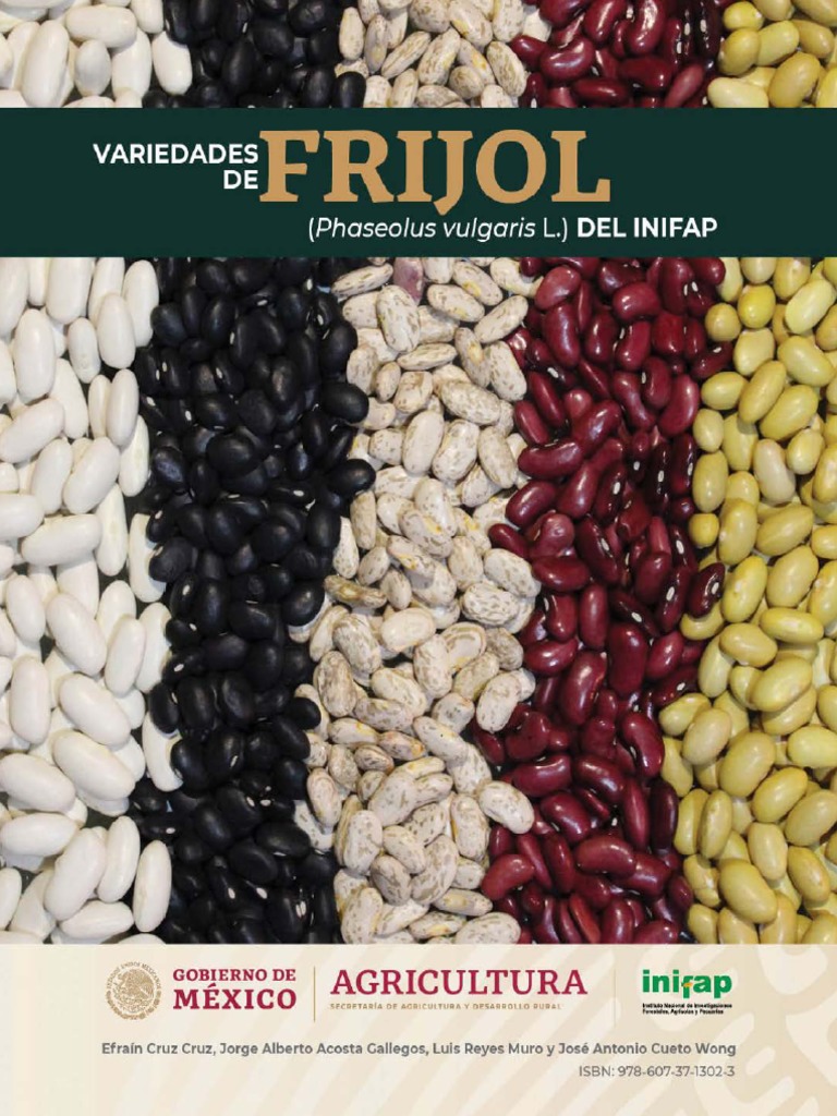 5045 Variedades de Frijol (Phaseolus Vulgaris L.) Del INIFAP | PDF | Alimentos | Cereales