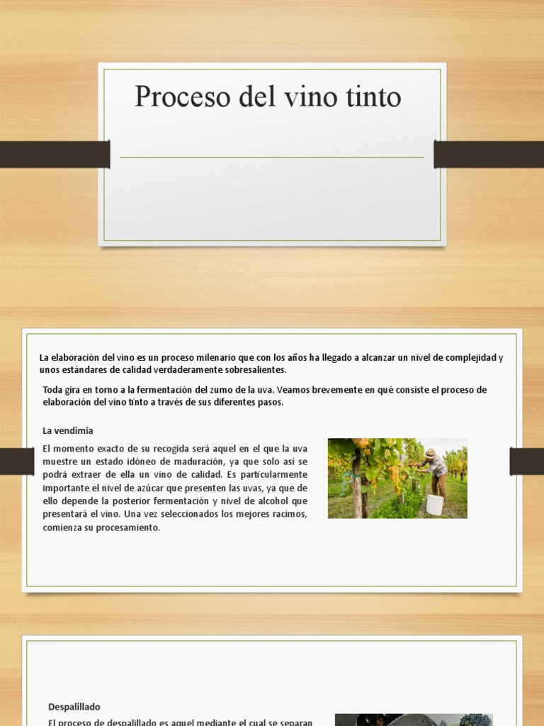 Proceso Del Vino Tinto Presentacion | PDF | Vino | Uva