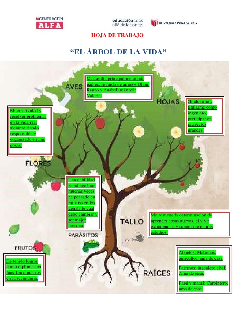 Arbol de Vida | PDF