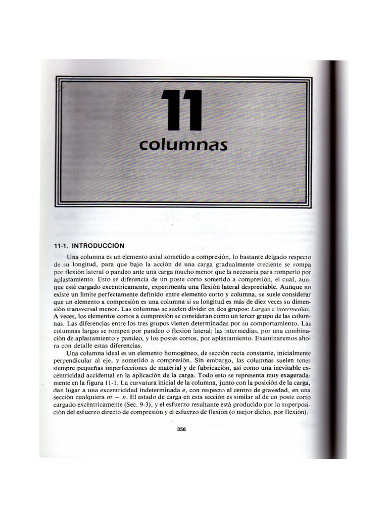 Cap 5 Columnas | PDF