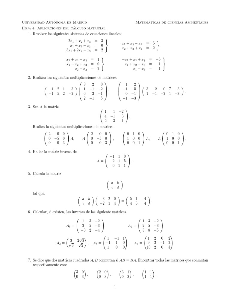 Ejercicios de Matrices | PDF