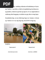 Mga Solusyon para Sa Deforestation | PDF