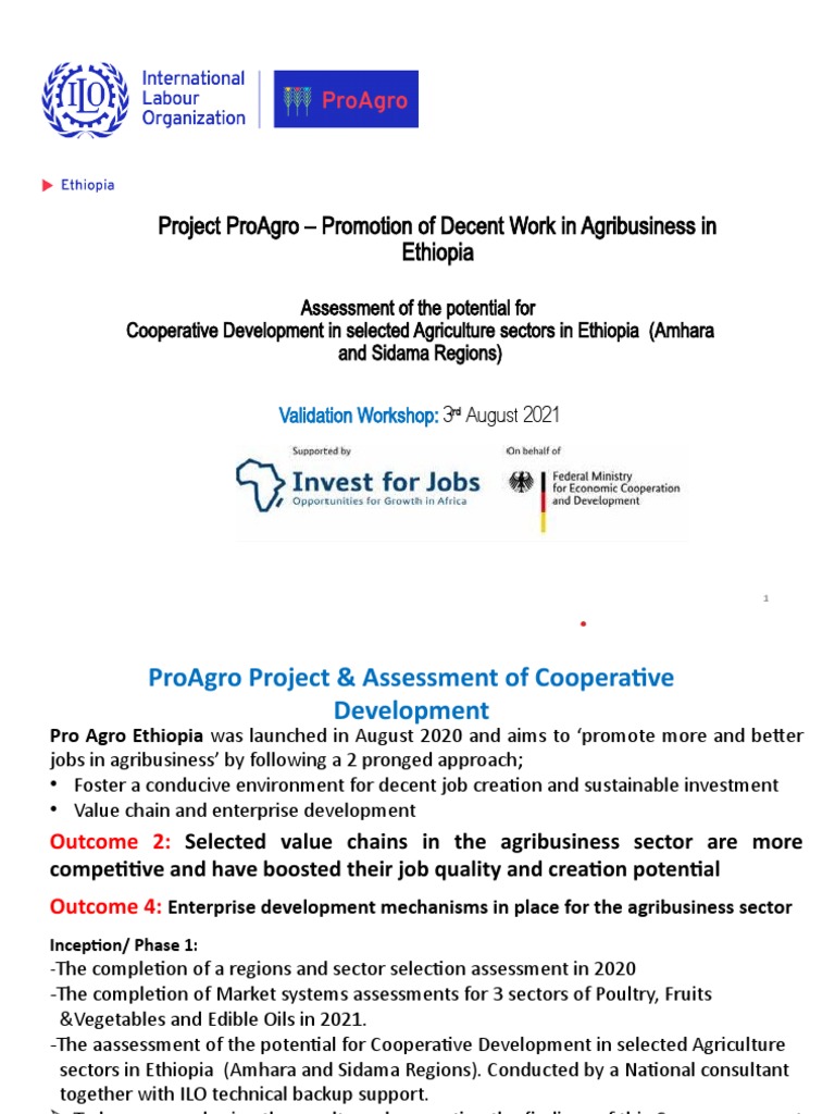 Coop Assessment Validation Workshop Final | PDF | Cooperative | Swot Analysis