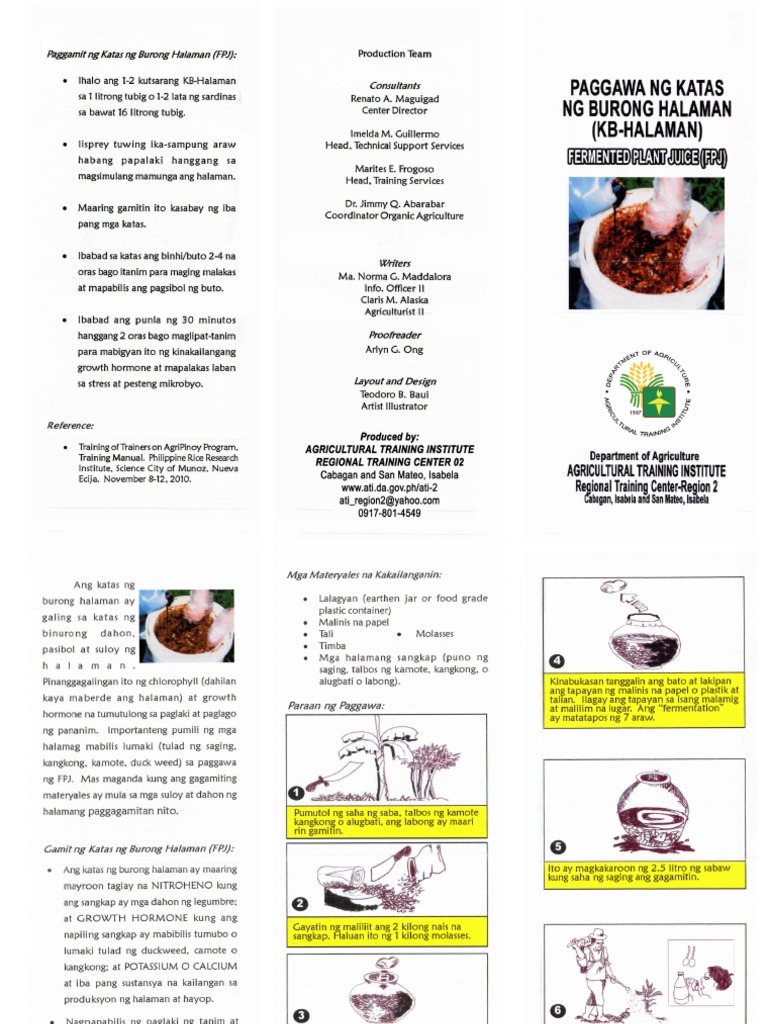 FPJ | PDF