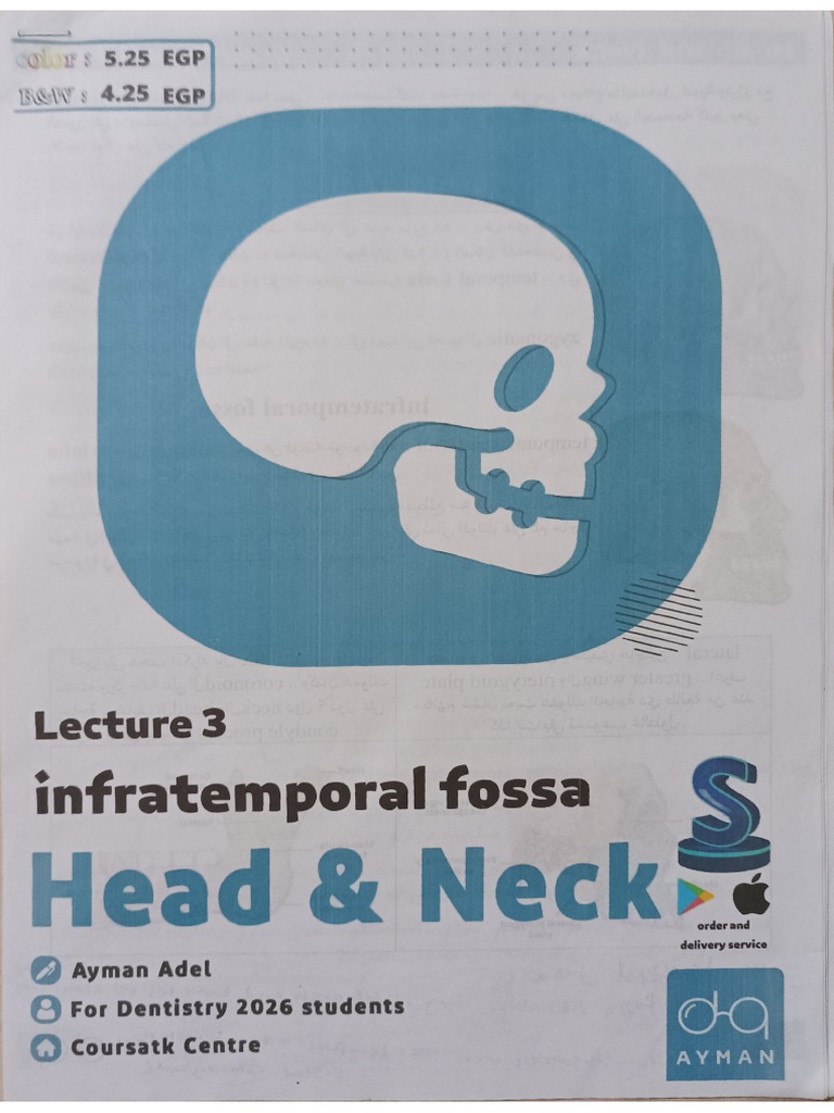 Anatomy (Infratemporal Fossa) | PDF