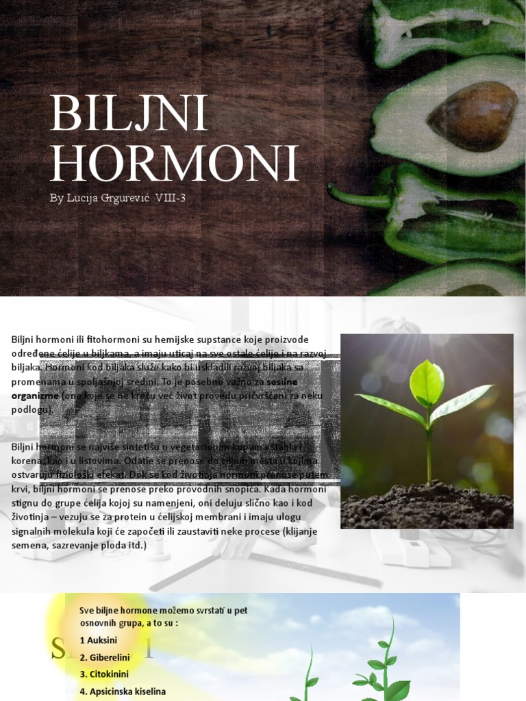 Biljni Hormoni | PDF