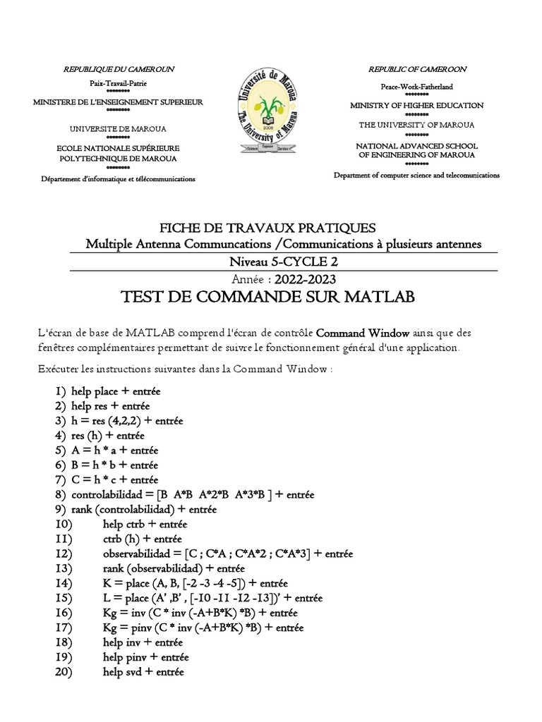 Fiche TP MIMO INFOTEL NIV5 2022 | PDF