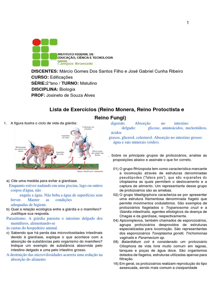Exerc 2.° Ano II Unid 2022 | PDF