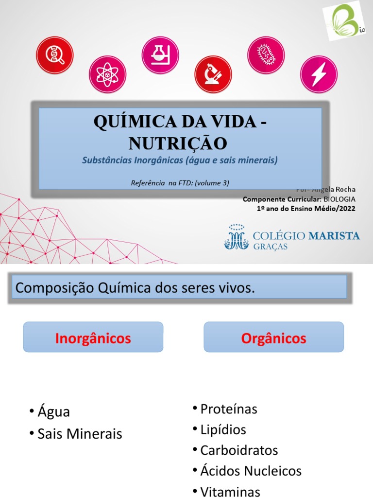 SUBSTÂNCIAS INORGÂNICAS | PDF | Flúor | Cálcio