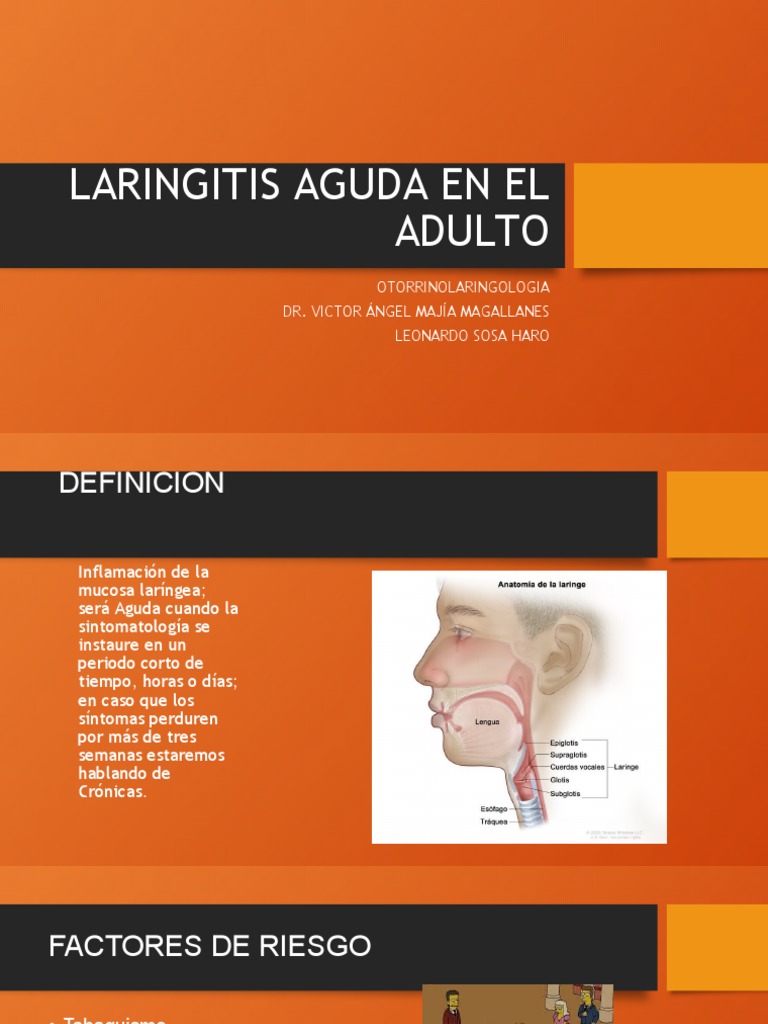 Laringitis en El Adulto | PDF
