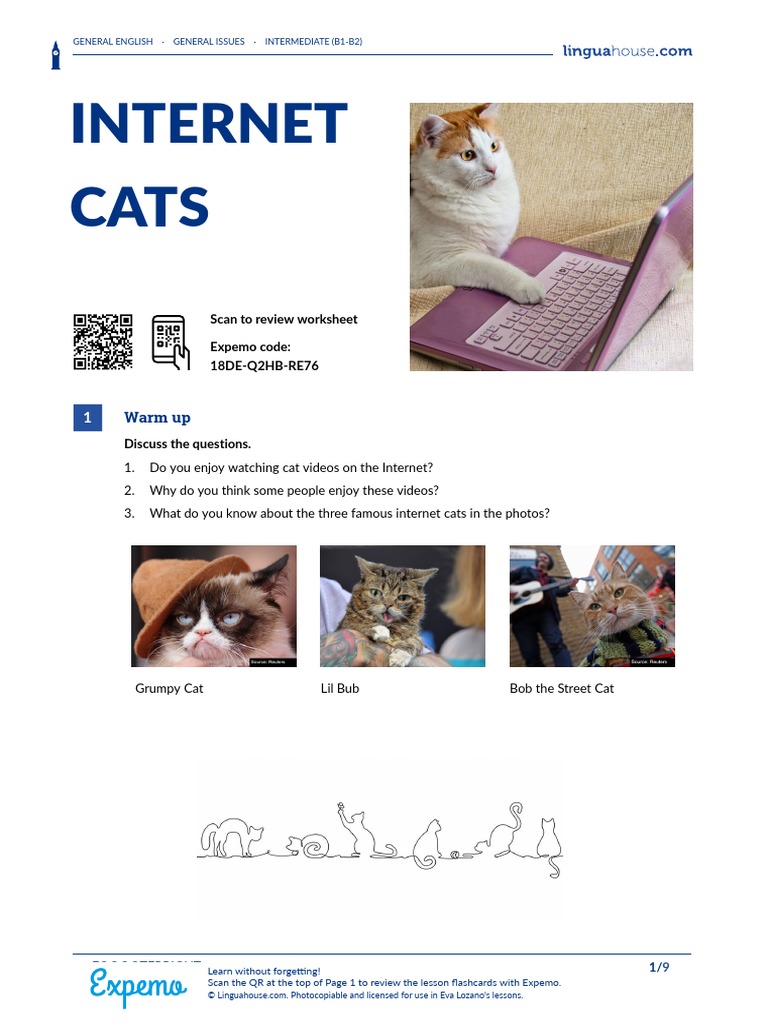 Internet Cats - Teacher | PDF | Cats