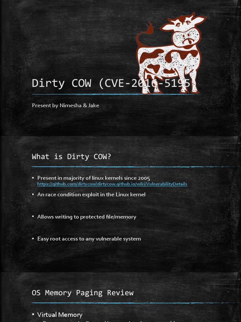 Dirty Cow | PDF | Software | Computer Architecture