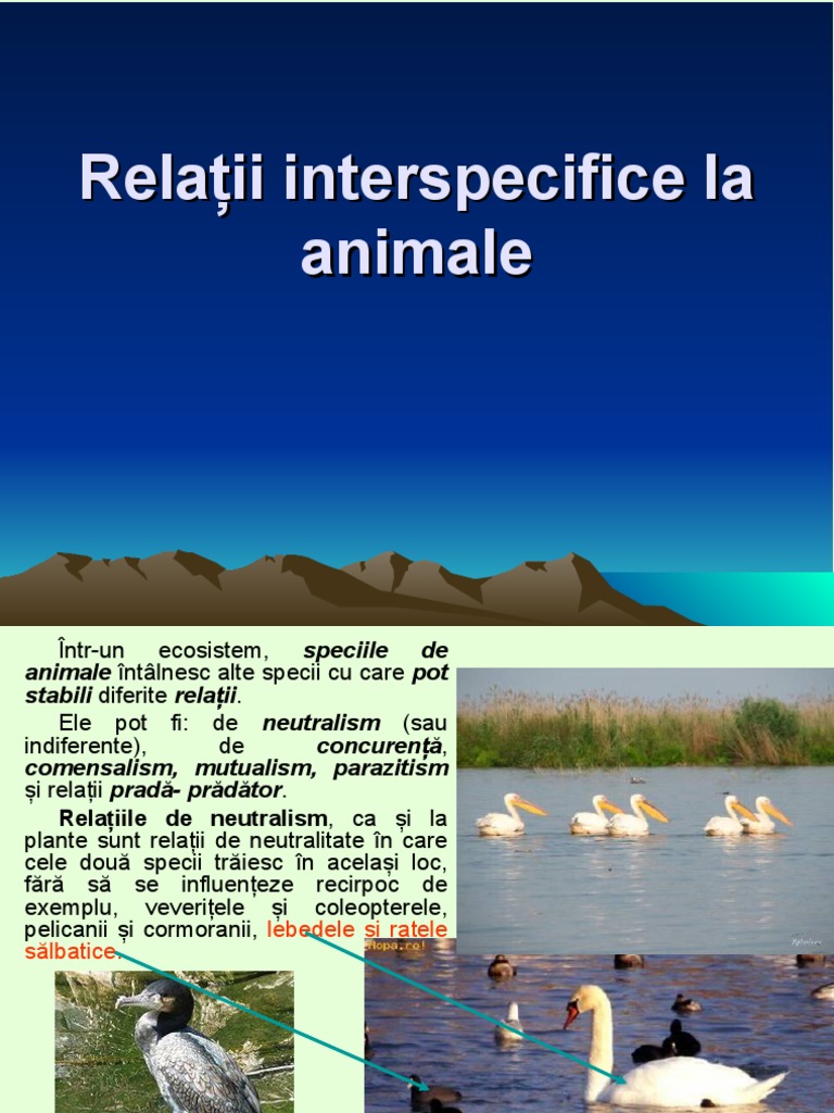 Relatii Interspecifice La Animale. Relatii Intraspecifice. | PDF