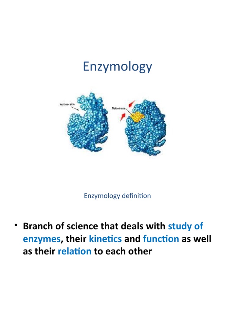 Enzymology | PDF | Enzyme | Active Site