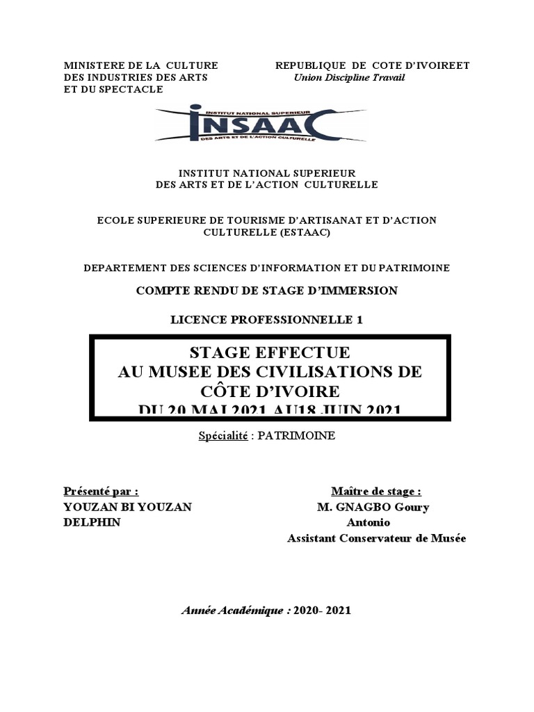 Compte Rendu de Stage D'immersion Youzan Bi | PDF