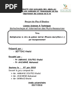 Formulaire IMM 5669 - Annexe A | PDF