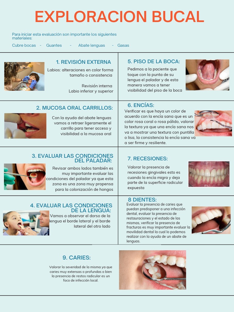 Exploración Bucal | PDF | Boca | Especialidades Medicas