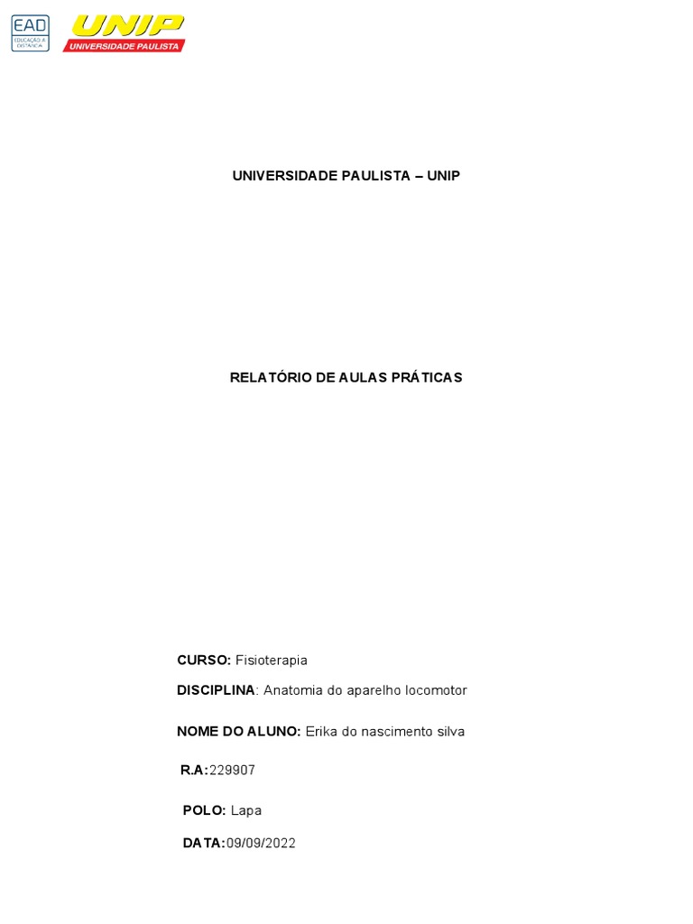 Relatório de Aulas Práticas | PDF