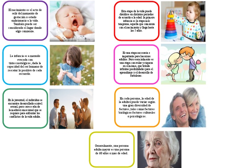 Etapas de La Vida PDF | PDF