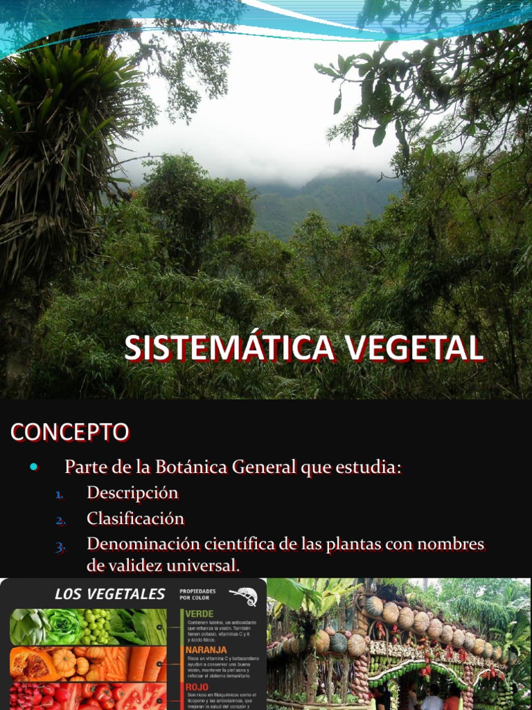 Sistematica Vegetal - 202151 | PDF | Taxonomía (biología) | Plantas