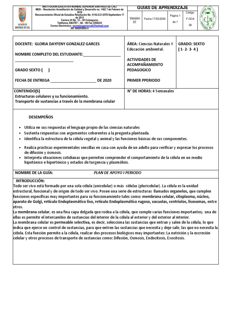 Grado 06 Acompañamiento 1P 01A Cnaturales 61 62 63 64 GDGG | PDF ...