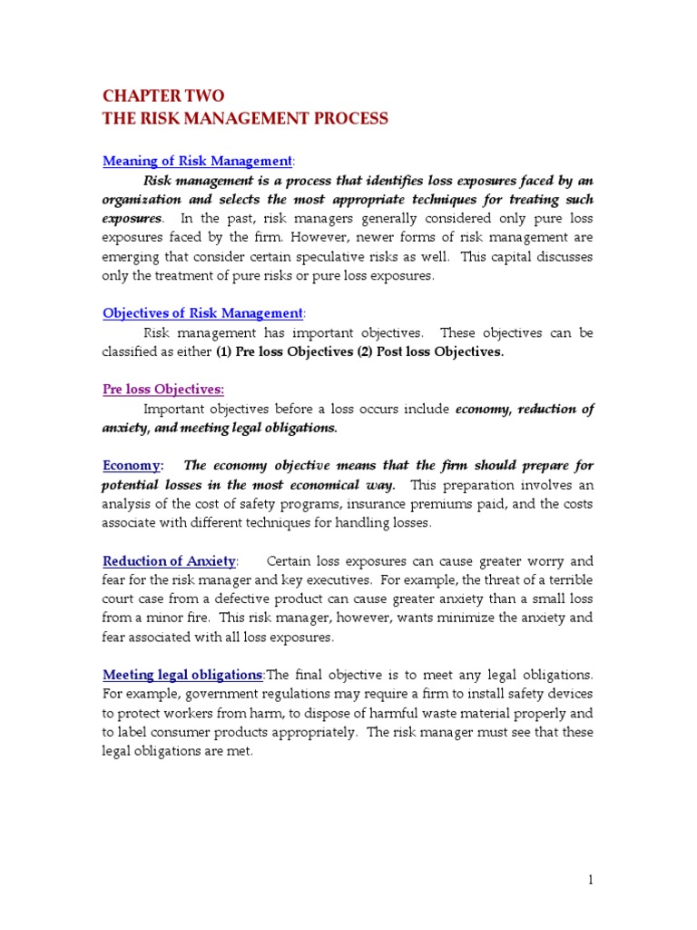CHAP 2 Risk Magt Pro | PDF | Risk | Risk Management