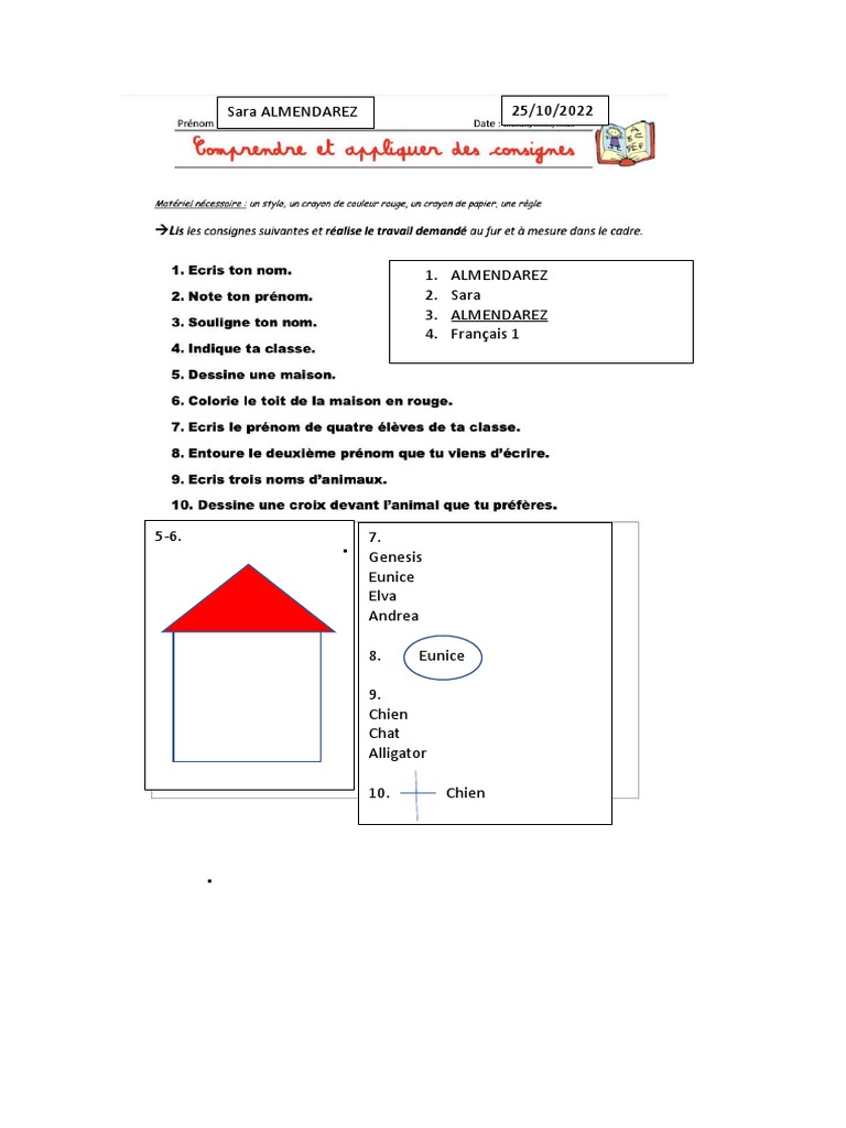 Tarea #1 - Comprendre Et Appliquer Les Consignes | PDF