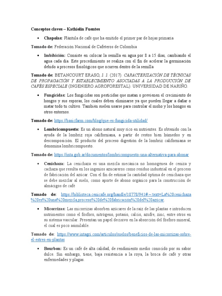 Conceptos Claves - Kathielin Fuentes | PDF