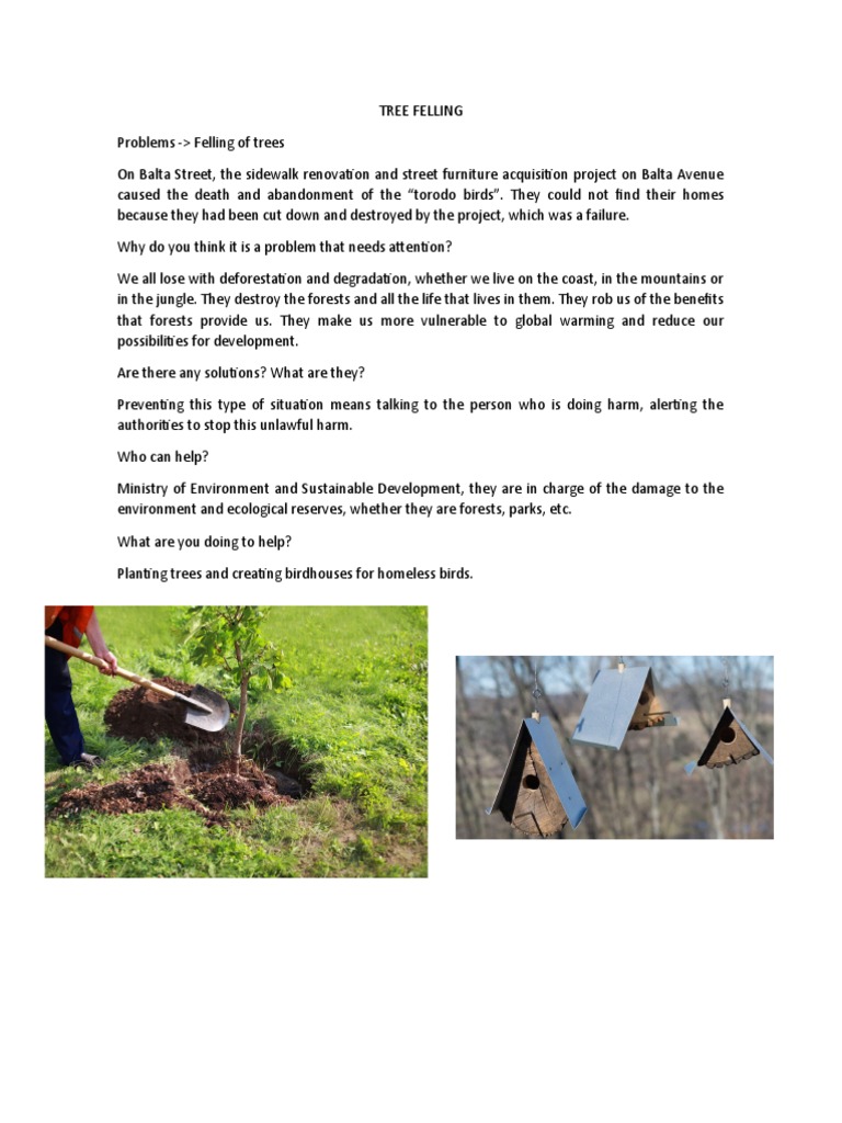Tree Felling | PDF