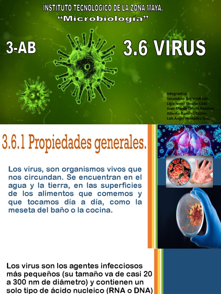 VIRUS | PDF | Virus | Biología Celular)