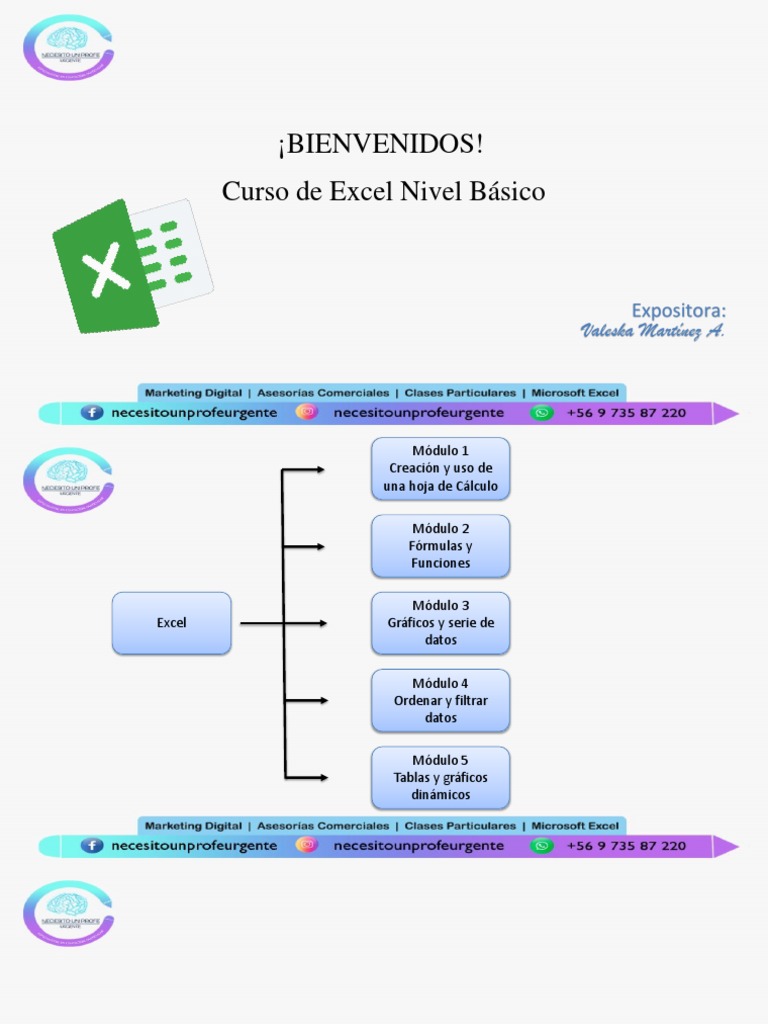 Curso de Excel | PDF