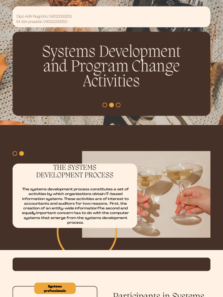 Week 12 - System Development and Program Change Activities | PDF