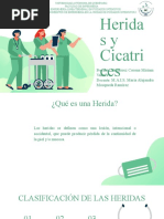 Escala Four | PDF | Coma | Causas de la muerte