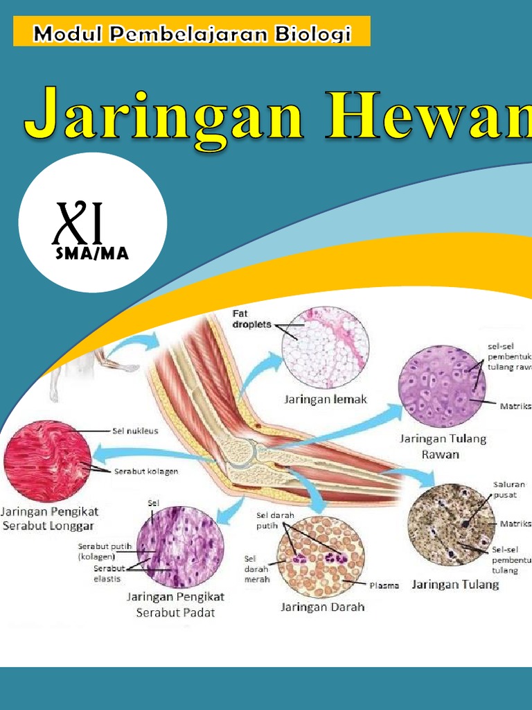 E-Modul Jaringan Hewan | PDF