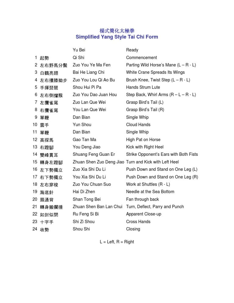 Yang Style 24 Form Step-by-Step Guide | PDF