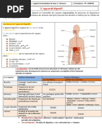 Résumé Des Cours 3AC SVT PR - NACIRI | PDF | Sang | Nutrition