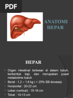 Anatomi dan Segmen Hepar Manusia | PDF