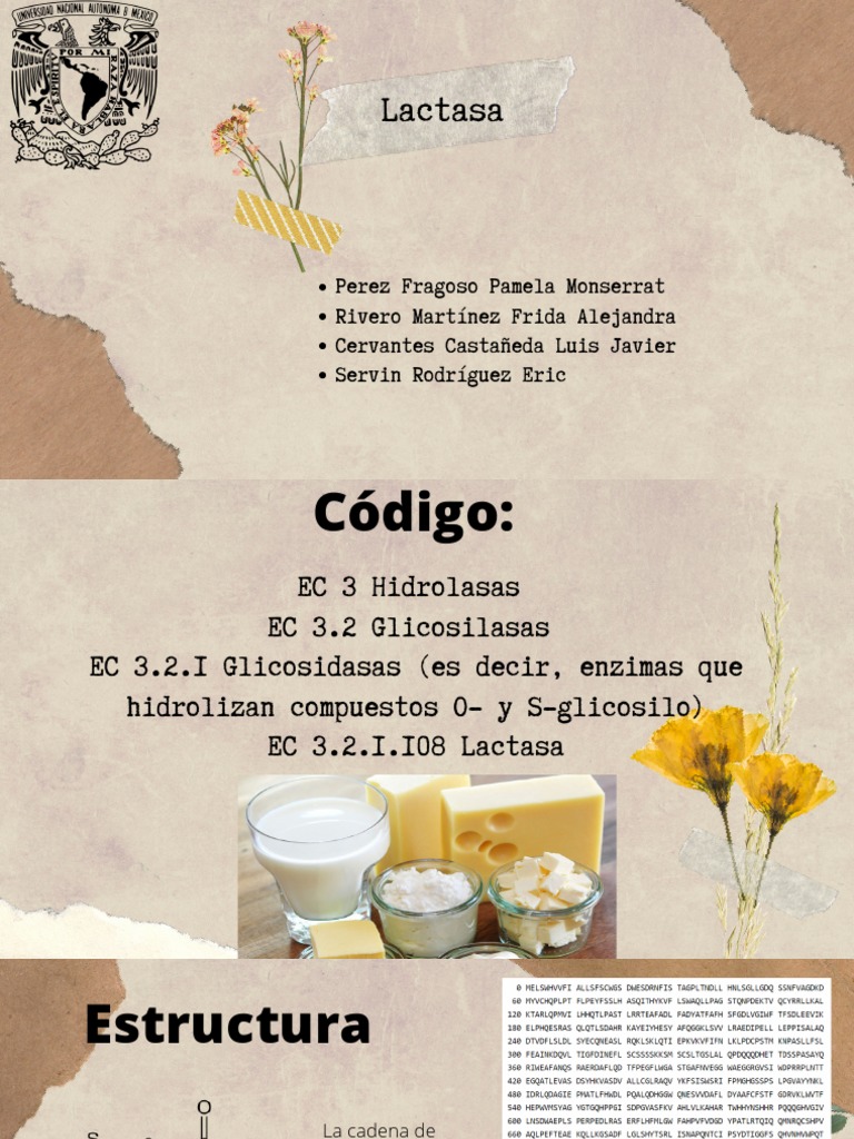 Lactasa | PDF | Enzima | Leche